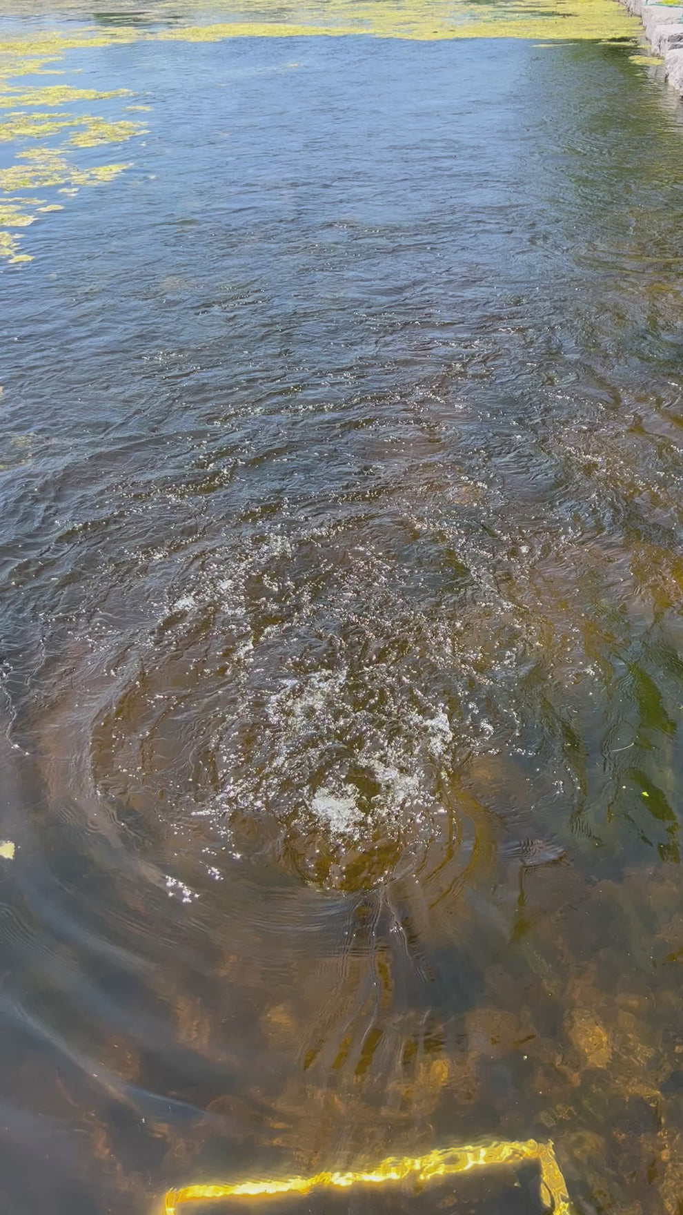 Aquatic Moveable Stand C/W Kasco Deicer/Thruster